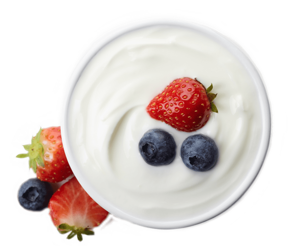 Dairy Ingredients, Inc. | Stabilizers and Emulsifiers for Food Applications